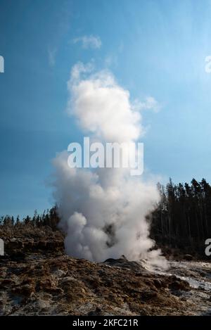 A morning view of Steamboat Geyser, Norris Geyser Basin; Yellowstone ...