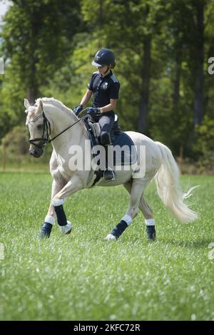 girl rides German Riding Pony Stock Photo - Alamy