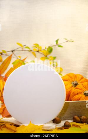 Frame white mockup with pumpkin, berries and leaves on a multicolor ...