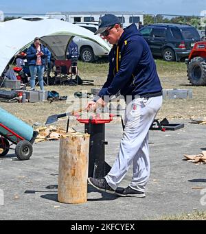 Christchurch; New Zealand - November 11; 2022; Woodchopping - half way ...