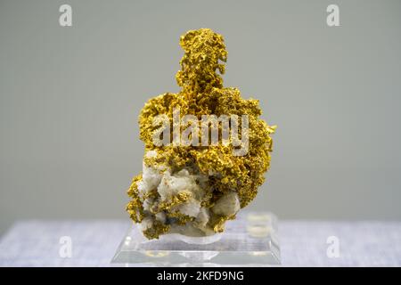 Closeup of a naturally mined gold nugget Stock Photo - Alamy