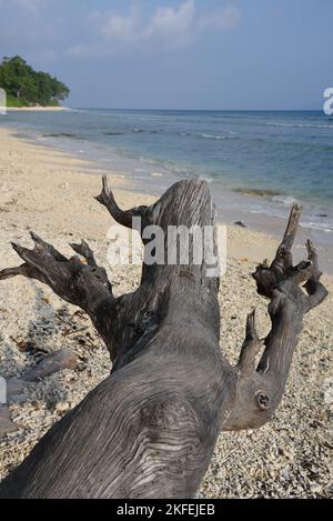Driftwood, Laxmanpur Beach, Neil Island, Shaheed Dweep, Andaman and ...