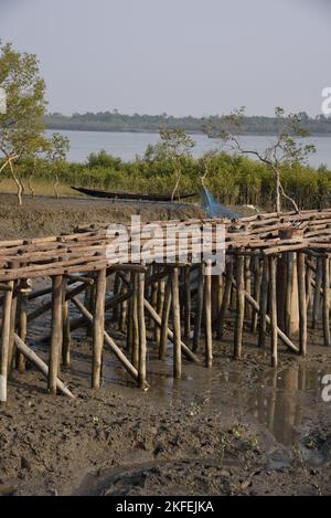Bamboo stilt jetty, Pakhiralay, Gosaba, Sunderban, South 24 Pargana ...