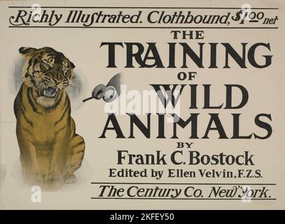 The training of wild animals, c1895 - 1911. Published: 1903 Stock Photo ...