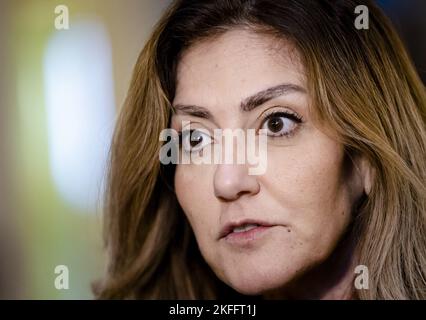 THE HAGUE - Dilan Yesilgoz, Minister of Justice and Security, and Eric van der Burg, State ...