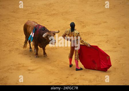 The traditional Spanish Bullfight, basque country, Spain Stock Photo ...