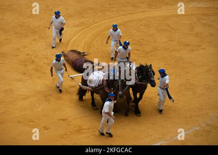 The traditional Spanish Bullfight, basque country, Spain Stock Photo ...