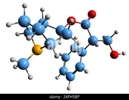 3D image of Atropine skeletal formula - molecular chemical structure of ...