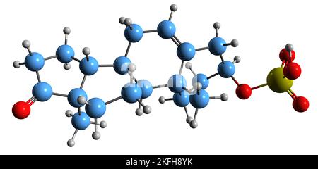 3D image of Androstane skeletal formula - molecular chemical structure ...