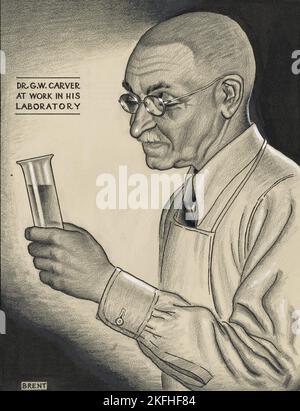 Dr. G.W. Carver at Work in His Laboratory, ca.1935 - 1943 Stock Photo ...