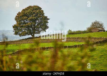 Countryside of Longridge market town Ribble Valley in Lancashire ...