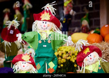 PUMPKINS and scarecrows at Wheelock Hall Farm Shop near Crewe Cheshire ...
