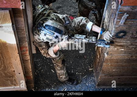 U.S. Green Berets from 10th Special Forces Group (Airborne) and members ...
