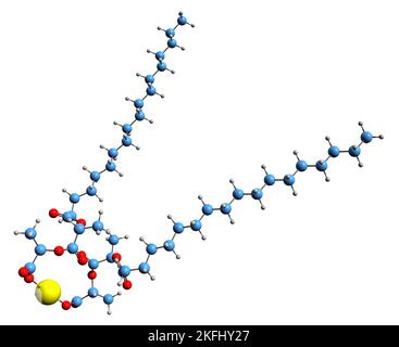 3D image of stearoyl-1-lactylate skeletal formula - molecular chemical ...