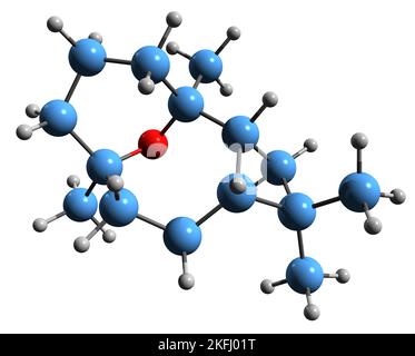 3D image of Caryophyllene skeletal formula - molecular chemical ...