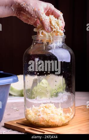 Prepare for fermentation. Finely chopped cabbage is poured from the ...