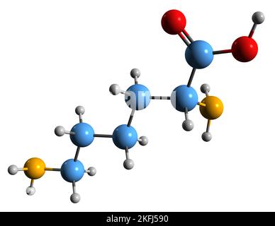 3D image of Saccharopine skeletal formula - molecular chemical ...