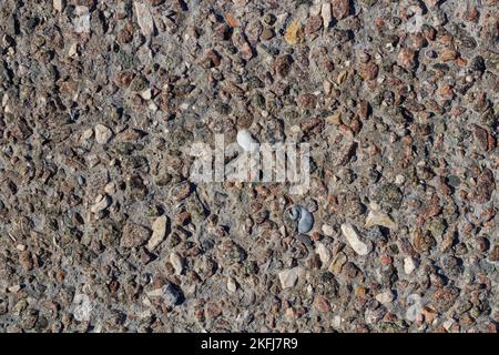 stone wall texture. particles of shells stick out of the stone, the ...