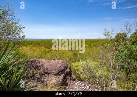 The predominant vegetation is evergreen trees, such as Darwin ...