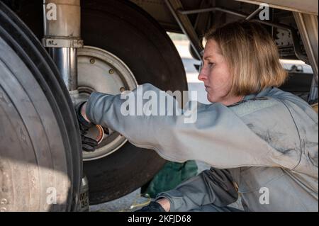 Col. Angela Ochoa, 19th Airlift Wing commander, answers questions ...