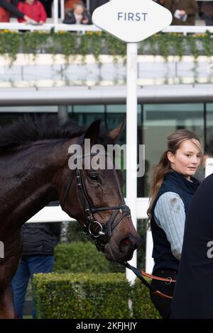 Crambo ridden by jockey Connor Brace (right) wins the European Breeders ...