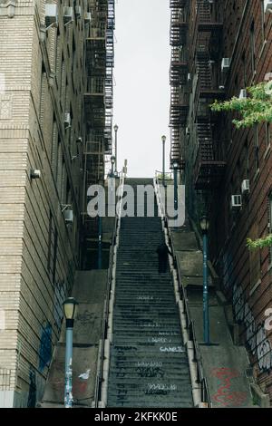 The ‘Joker Stairs’ in the Bronx Stock Photo - Alamy