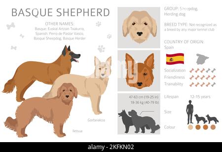 Basque Shepherd dog all colours clipart. Different coat colors and ...
