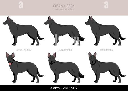 Cierny Sery clipart. Different poses, coat colors set. Vector ...