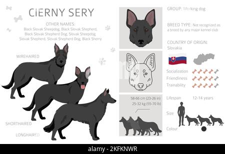 Cierny Sery clipart. Different poses, coat colors set. Vector ...