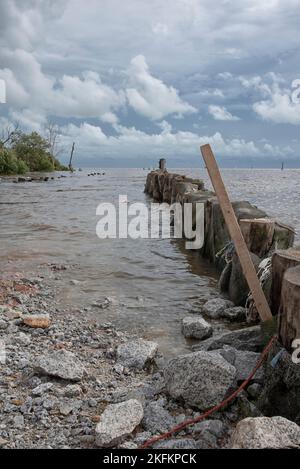 Mangrove and jetty at sea shore with cloudy view Stock Photo - Alamy