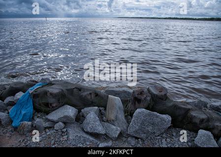 pile in a row of log jetty by the sea Stock Photo - Alamy