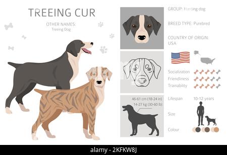 Treeing Cur clipart. All coat colors set. All dog breeds ...