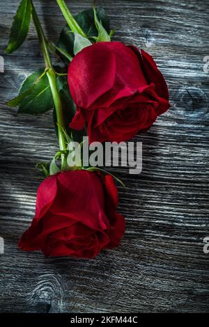 Aromatic expanded natural roses on wooden board holiday concept Stock ...