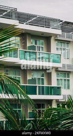 Palm tree branches level windows multi-storey building modern green glass balcony. Architecture ...