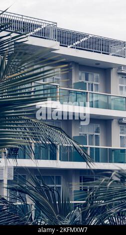 Palm tree branches level windows multi-storey building modern green glass balcony. Architecture ...