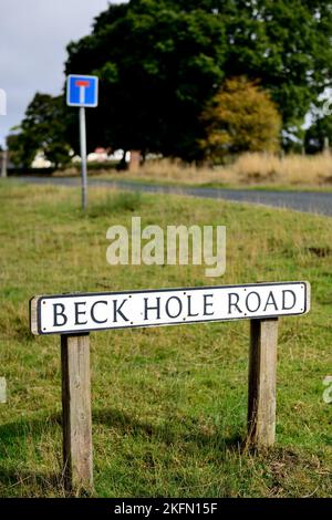 Road sign in Beck Hole Road, Goathland, North Yorkshire, warning about ...