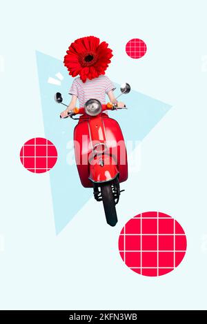 Collage artwork graphics picture of flowers bunch inside autumn fall ...