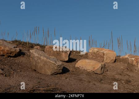Old Jewish graves in “Sambosky Cemetery” located in Wadi Al-Rababeh in ...
