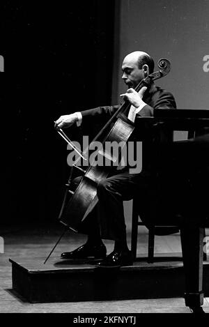 Cello player during performance Stock Photo - Alamy