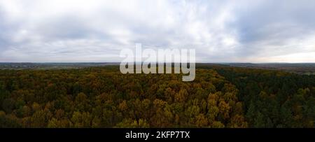 Autumn panorama of yellowed leaves, top view of the colorful forest ...