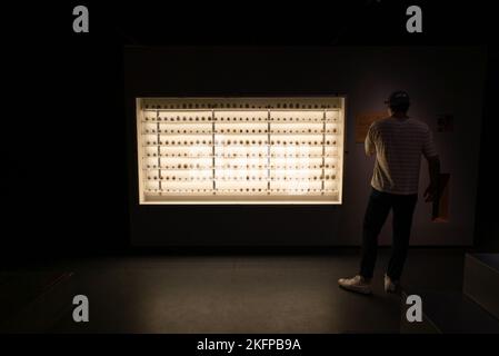 Cabinet displaying a collection of bird eggs @ Natural History Museum ...