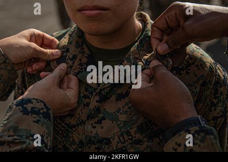 U.S. Marine Corps Sgt. Luz Guerrero, an inventory management specialist ...