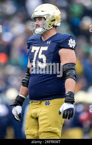 Notre Dame offensive lineman Josh Lugg plays during the first half of ...