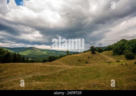 Photo of a mountainous field bordered by the forest Stock Photo - Alamy