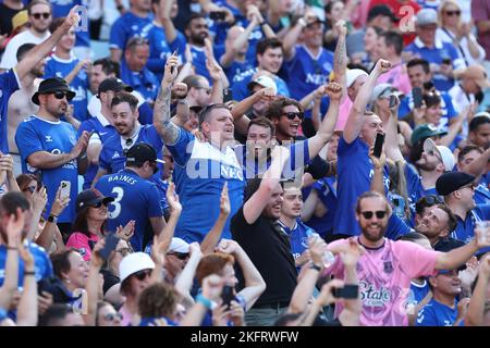 Everton fans celebrates during the Sydney Super Cup match Celtic vs ...