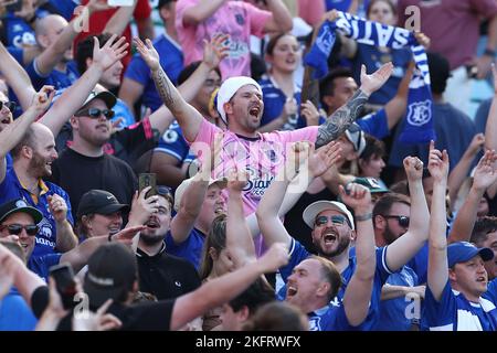 Everton fans celebrates during the Sydney Super Cup match Celtic vs ...