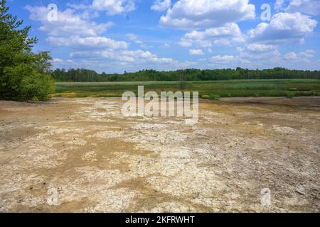 Soos Mineral Moor, Skalná, Karlovarský kraj, Czech Republic, Europe ...