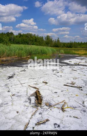 Soos Mineral Moor, Skalná, Karlovarský kraj, Czech Republic, Europe ...
