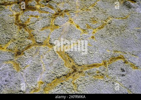 Soos Mineral Moor, Skalná, Karlovarský kraj, Czech Republic, Europe ...