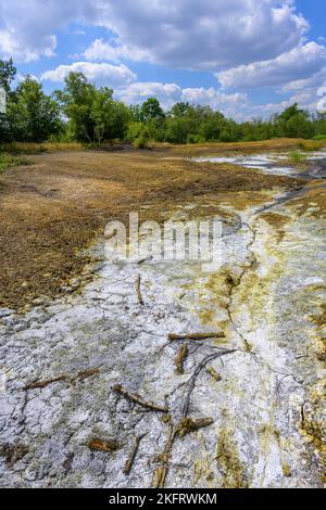 Soos Mineral Moor, Skalná, Karlovarský kraj, Czech Republic, Europe ...